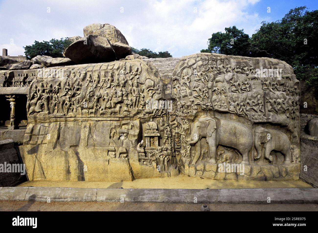Bas relief arjunas penance, Mahabalipuram Mamallapuram, Tamil Nadu, India, Asia Stock Photo - Alamy