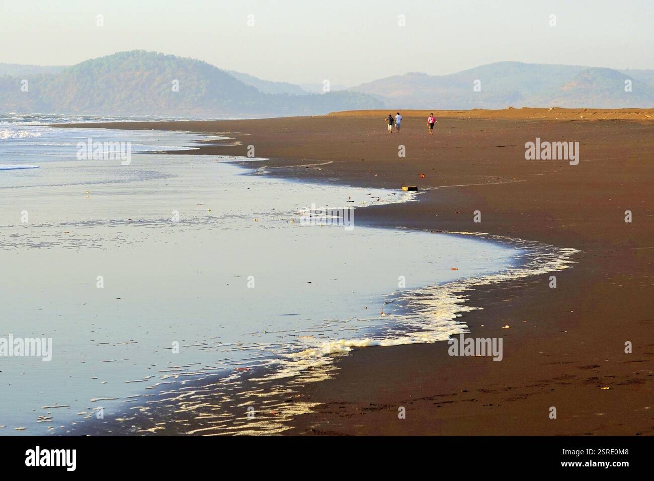 Velas beach, Ratnagiri, Maharashtra, India, Asia Stock Photo - Alamy