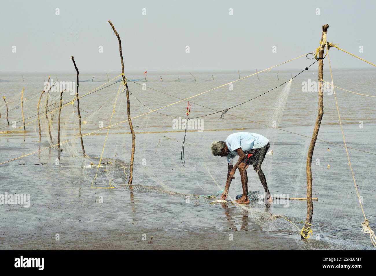 Fisherman, Suvali Beach, Surat, Gujarat, India, Asia Stock Photo - Alamy