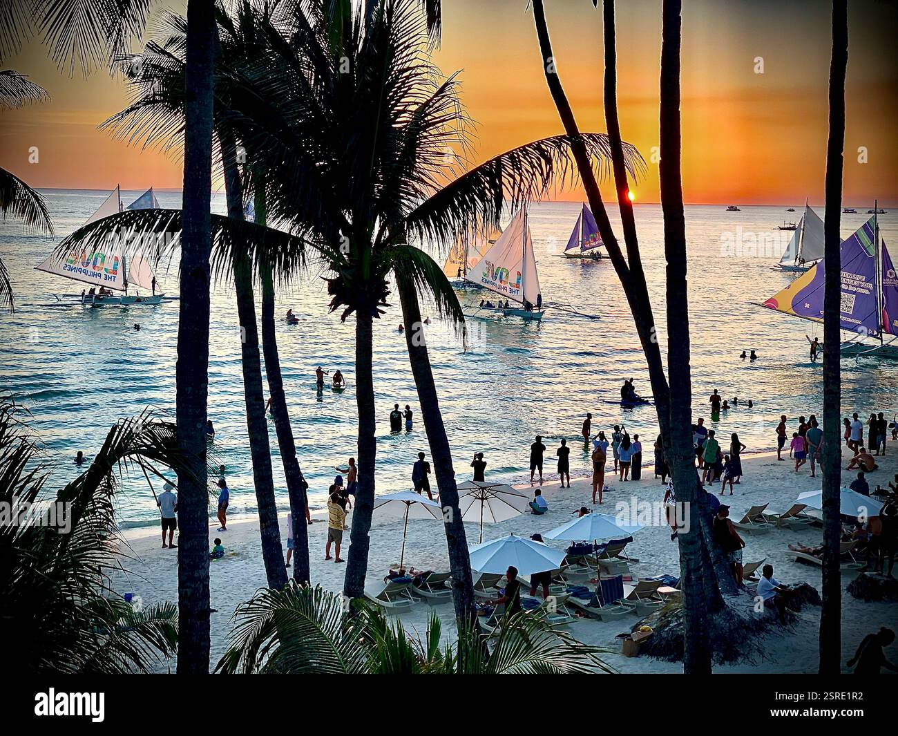 Panoramic sunset view palm hi-res stock photography and images - Alamy