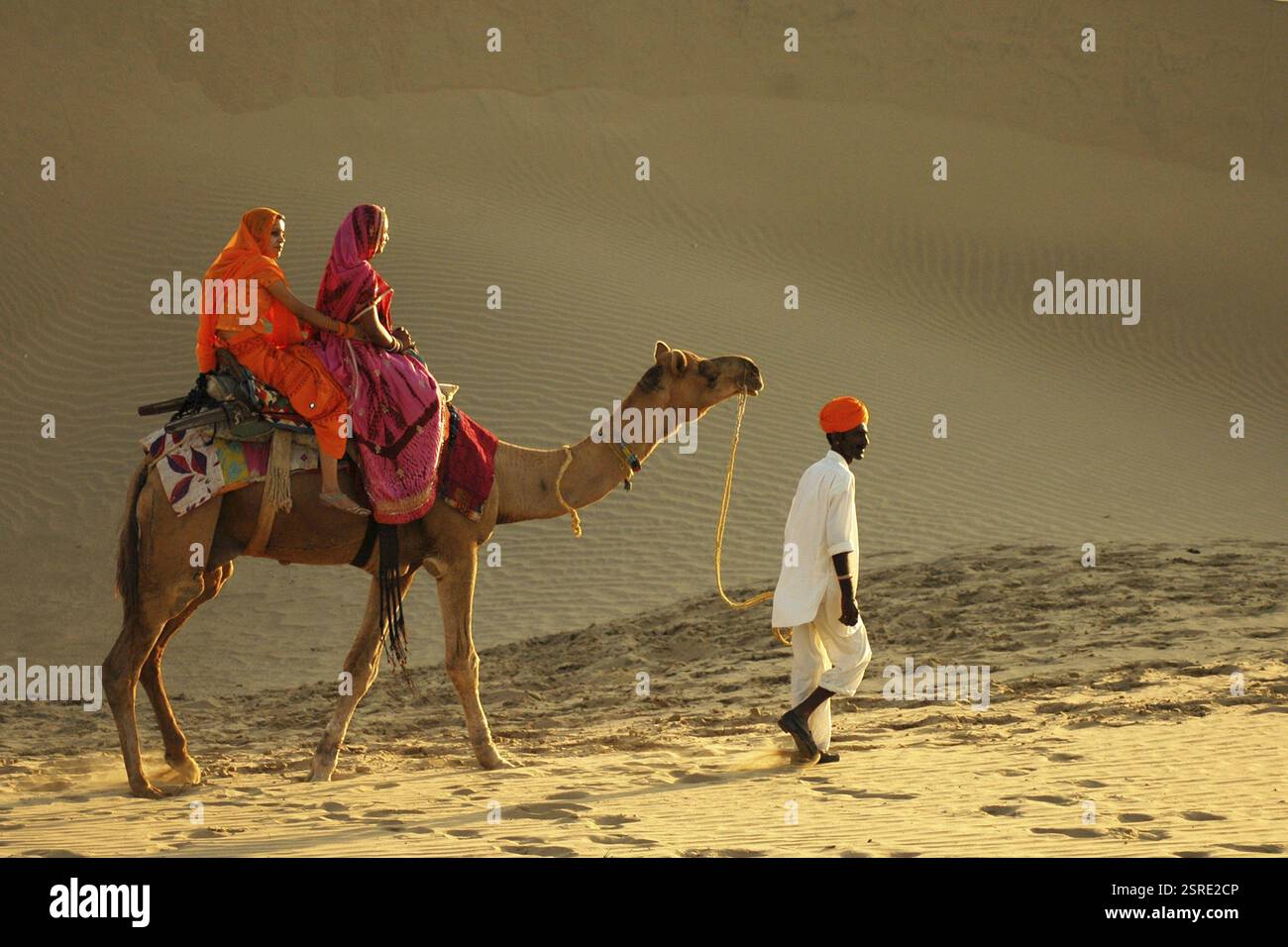 Tourist riding on a camel in desert, Kuri sum, Jaisalmer, Rajasthan ...