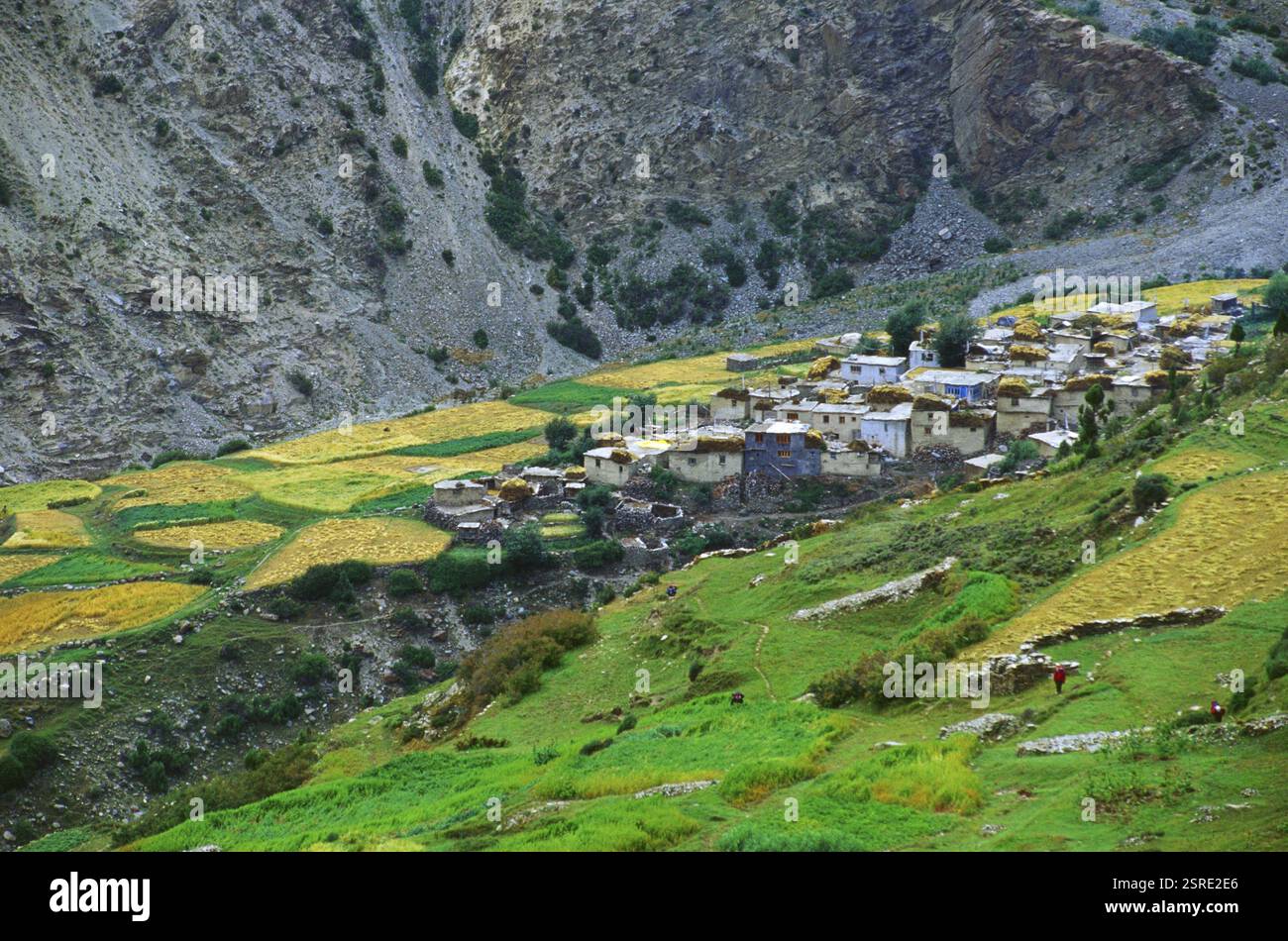 Kinnaur, Kailash Trek, Himachal Pradesh, India, Asia Stock Photo - Alamy