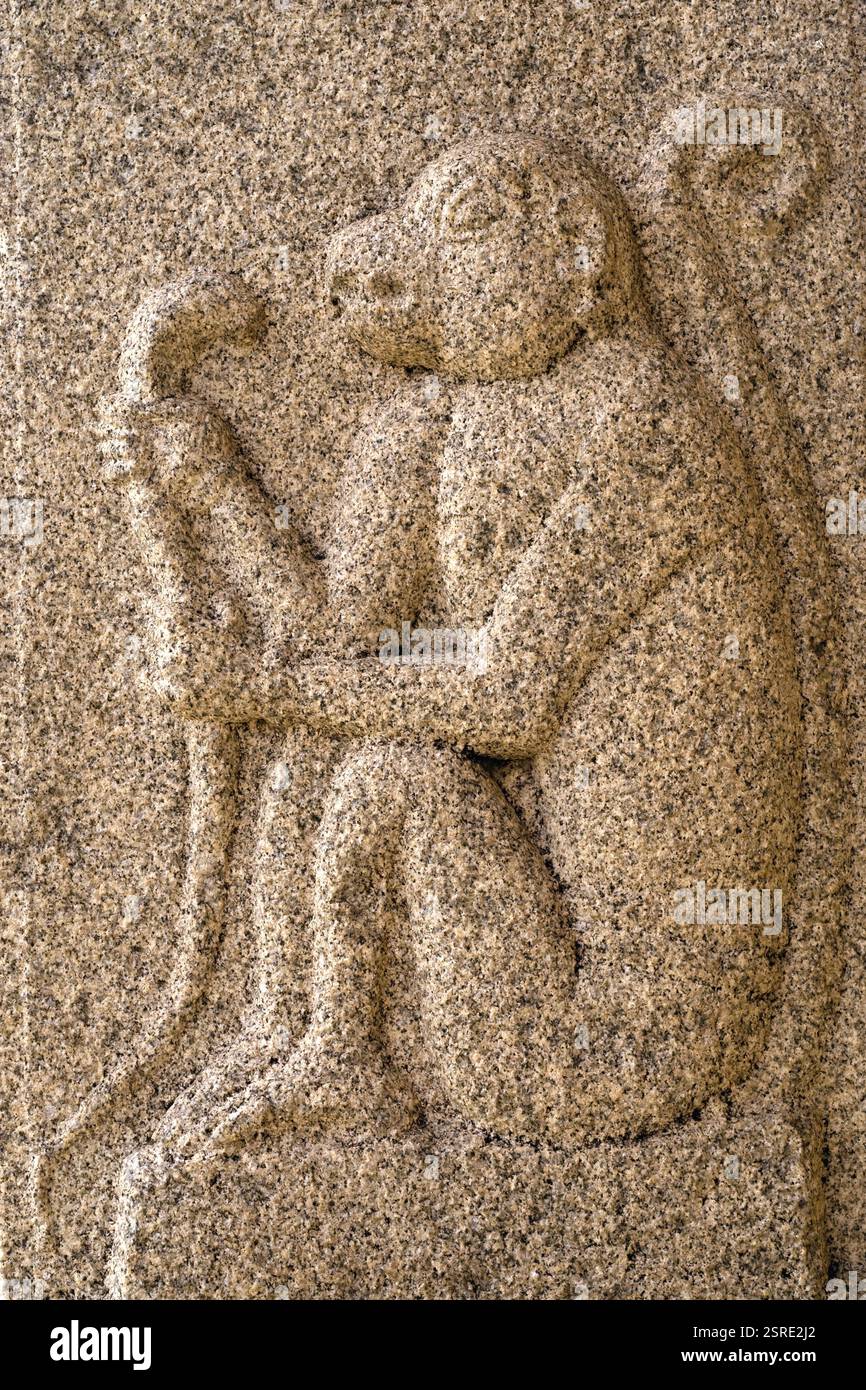 Monkey with cobra in column in pillared hall in front of Kadalekalu ...