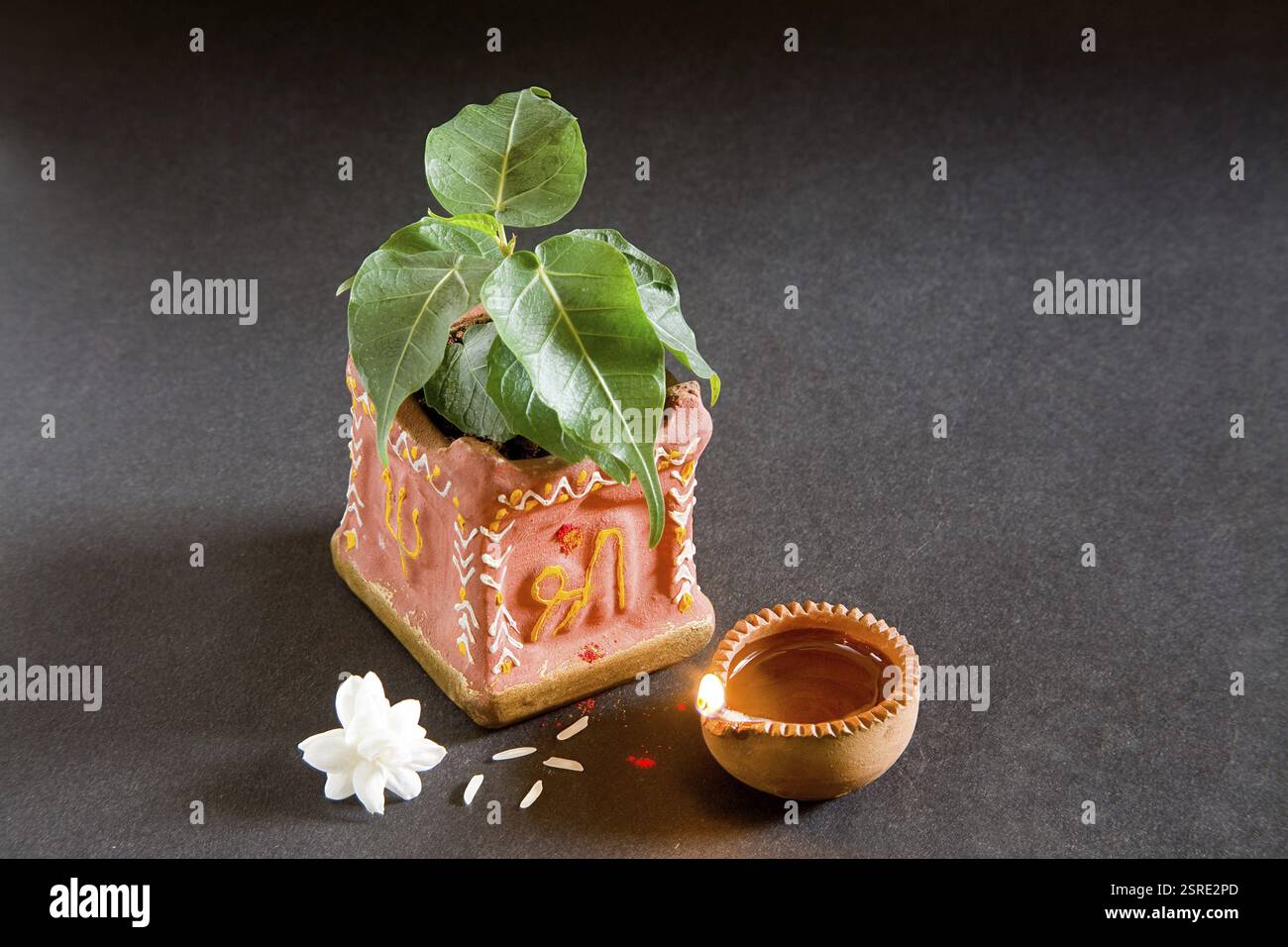 Lord Vishnu Peepal tree in the Vrindavan india may 2011 Stock Photo - Alamy