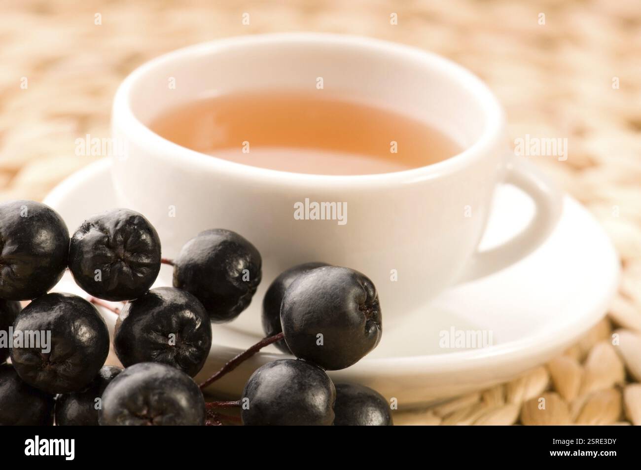 Black chokeberry tea, poland Stock Photo - Alamy