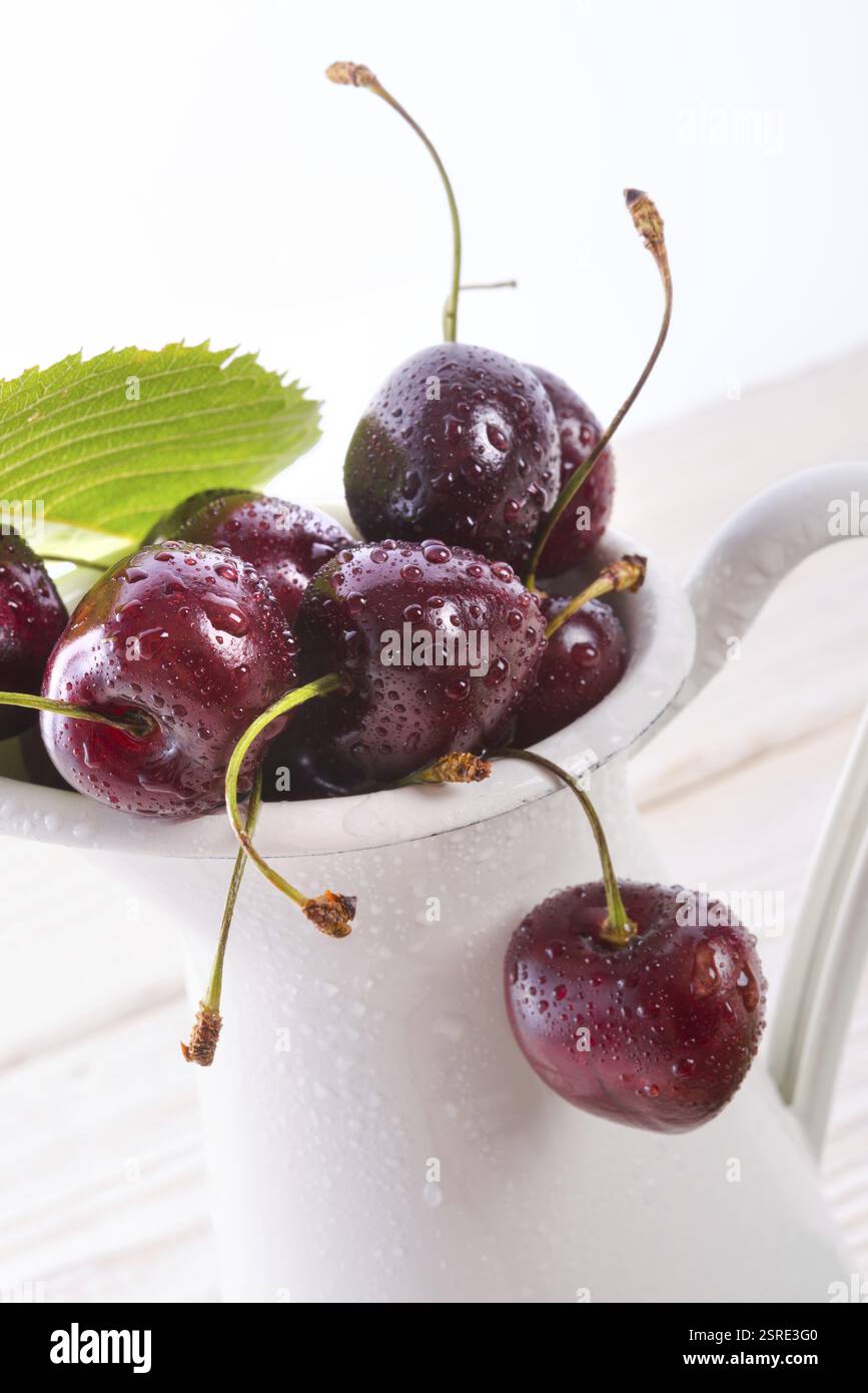 Branches white sweet cherry hi-res stock photography and images - Alamy