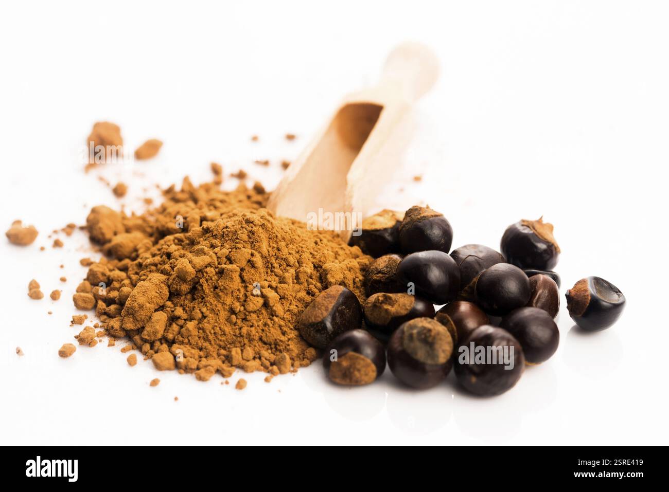 Hazel plant seeds Cut Out Stock Images & Pictures - Alamy