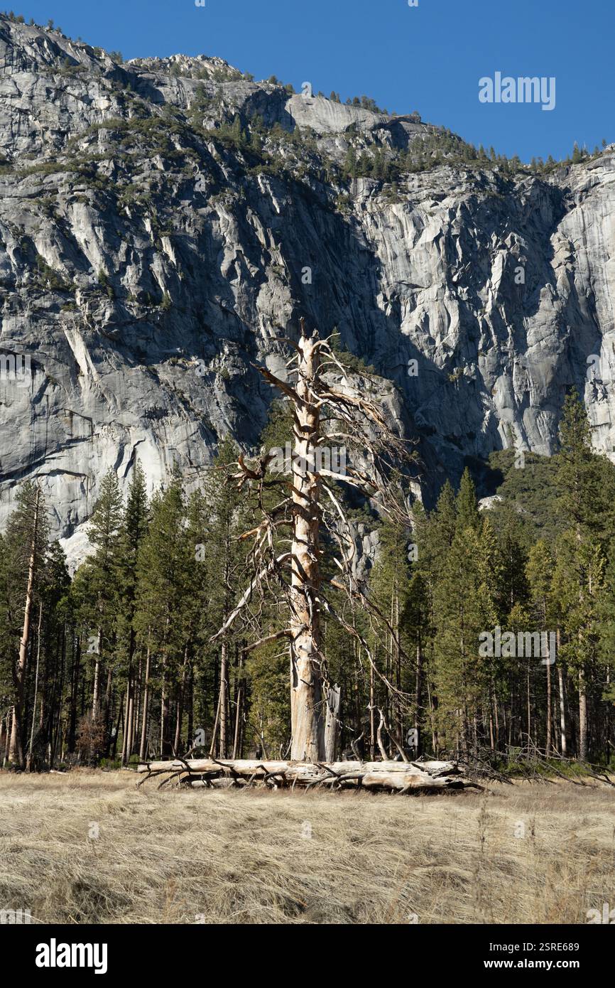 Grass valley ca usa hi-res stock photography and images - Alamy