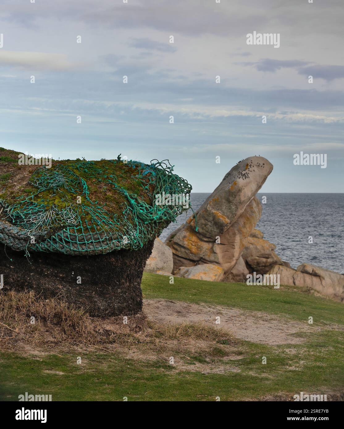 Pile of dried goémon -seaweed- next to a lime kiln facing the rock ...