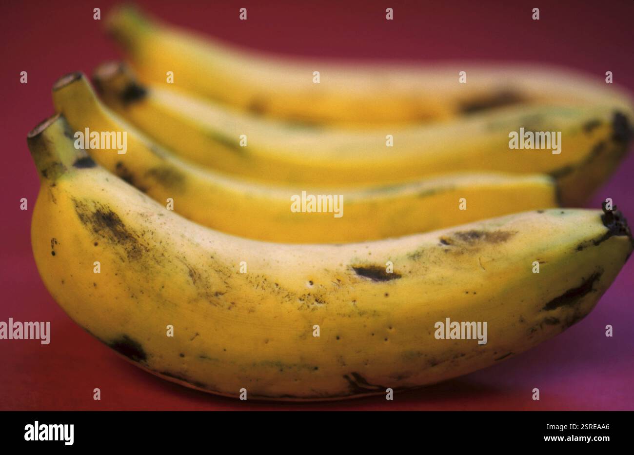 Fruits - Bananas Stock Photo - Alamy