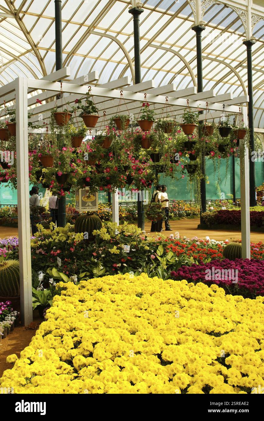 Flower show at Lalbagh, Bangalore, Karnataka, India, Asia Stock Photo ...