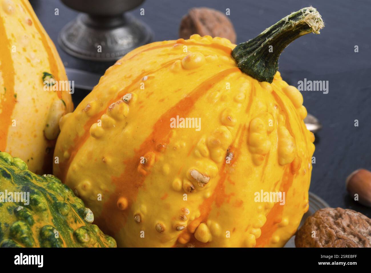 Still life squashes pumpkins hi-res stock photography and images - Alamy