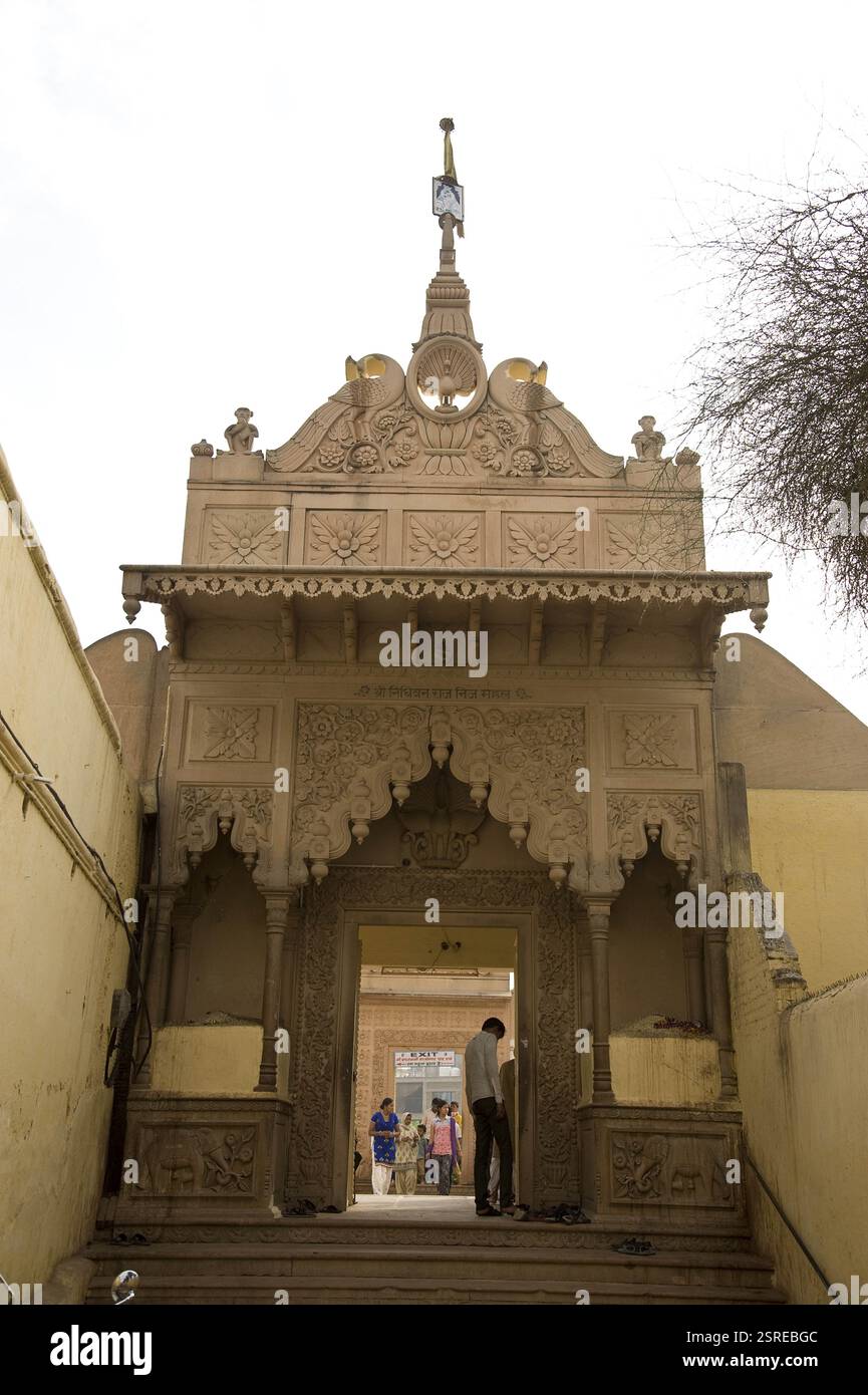 Nidhivan vrindavan, mathura, uttar pradesh, india, asia Stock Photo - Alamy