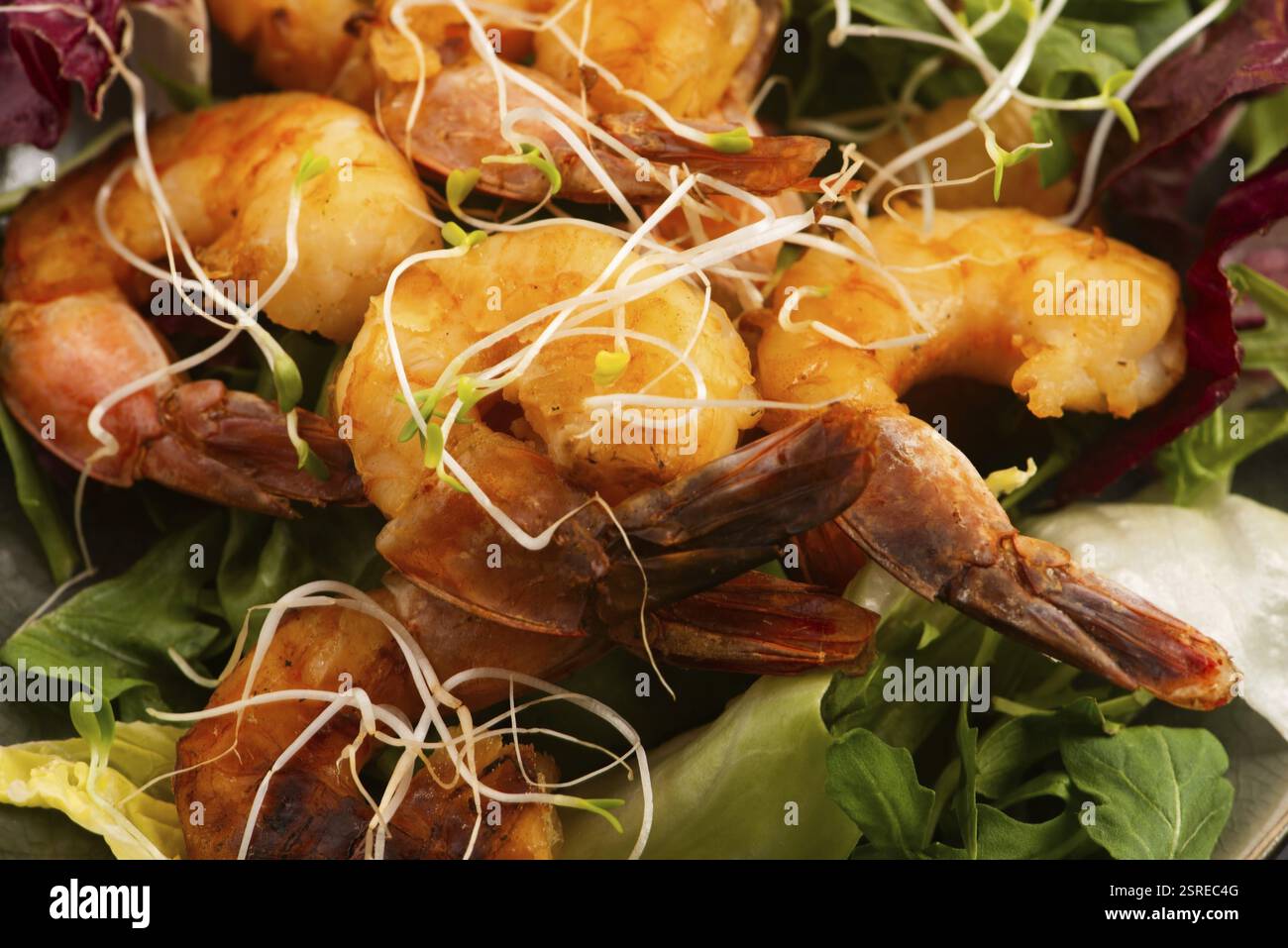 Smoked Shrimp on Fresh Salad with Alfalfa Sprouts Stock Photo - Alamy
