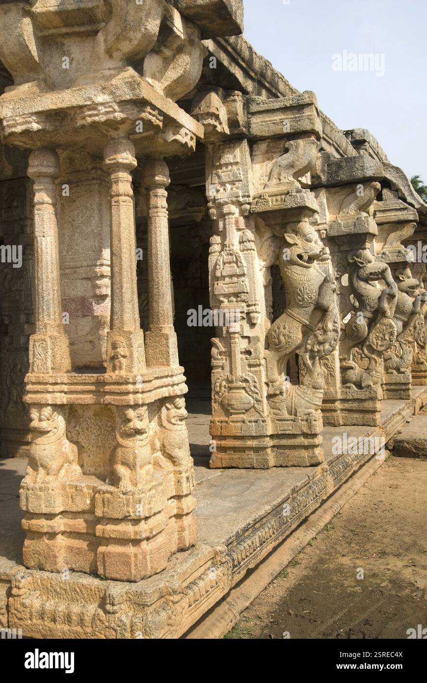 Pillared hall Yalis in Chandikesvara temple Hampi, Karnataka, India ...