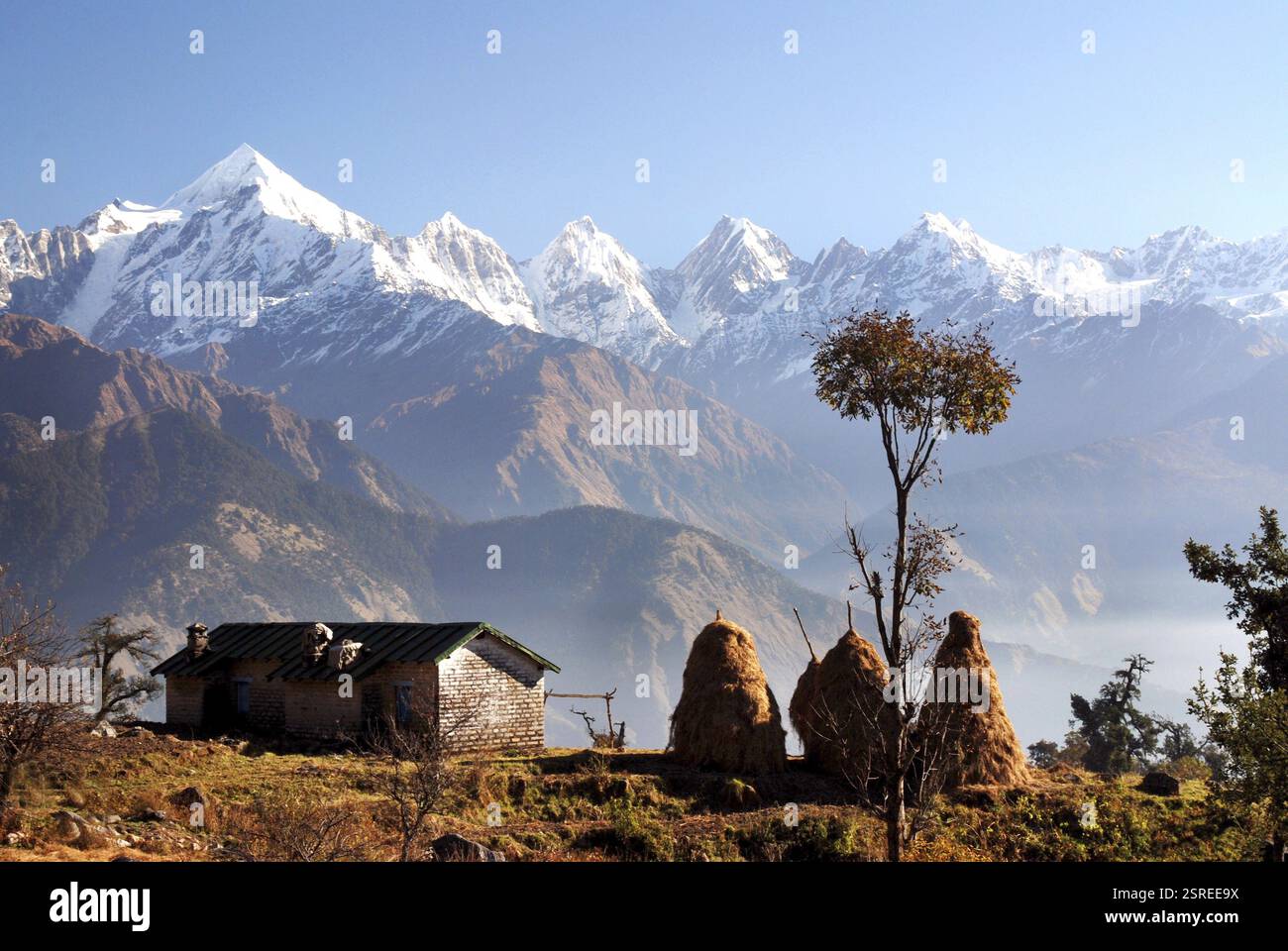 Panchachuli Peaks at Munsiari, Uttaranchal Uttarakhand, India, Asia Stock Photo - Alamy