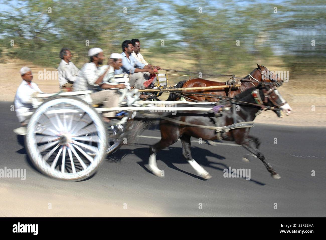 Horse cart race, Jodhpur, Rajasthan, India, Asia Stock Photo - Alamy
