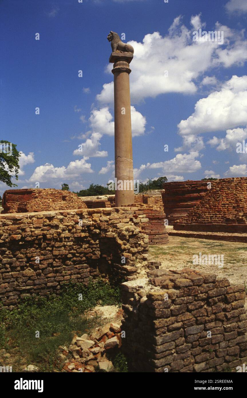 Ashok pillar, Vaishali, Bihar, India, Asia Stock Photo - Alamy
