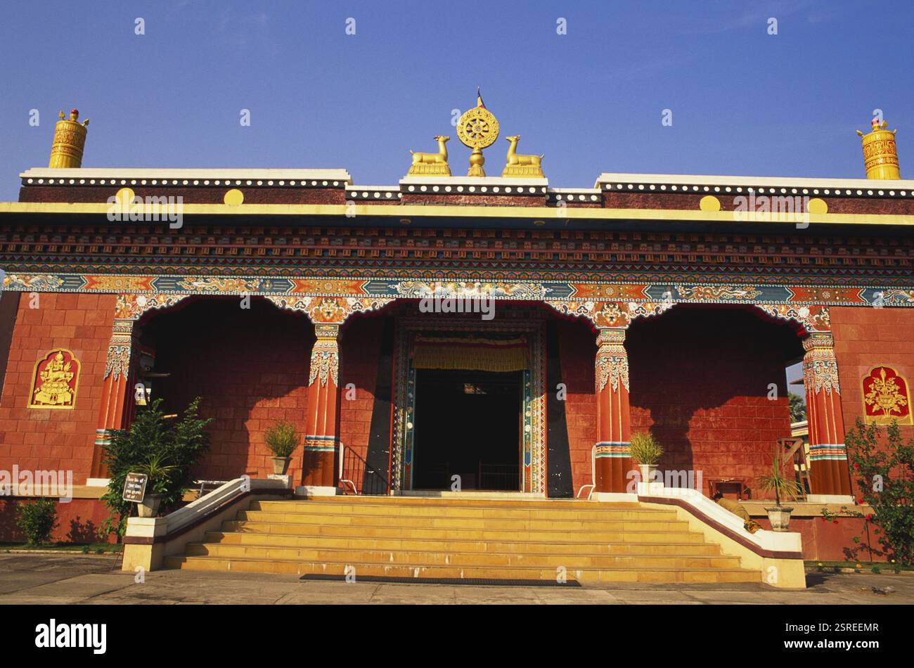 Colourfully painted Sechen Tennyi Dargyeling Najingmapa Tibetan ...