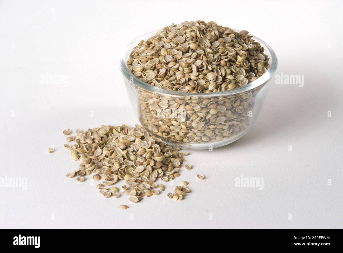 Spices, coriander seeds dhania coriandrum sativum in bowl spread on white background Stock Photo ...