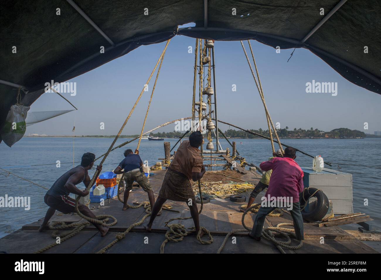 Man pulling rope, kochi, kerala, India, Asia Stock Photo - Alamy