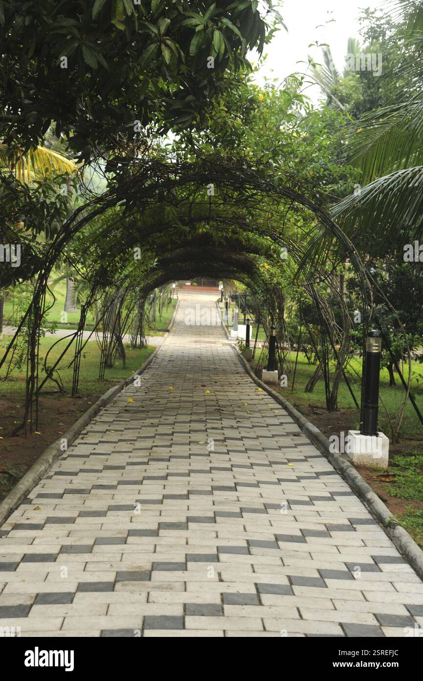 Paver block path, Isola di Cocco, Poovar, Kerala, India, Asia Stock ...