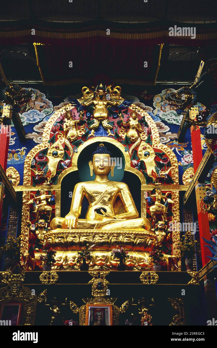 Buddha in Nyingmapa monastery, Bellakuppa, Karnataka, India, Asia Stock ...