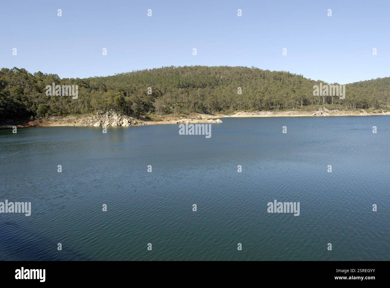 Lake at Mundaring Weir, Perth, Australia, Oceania Stock Photo - Alamy