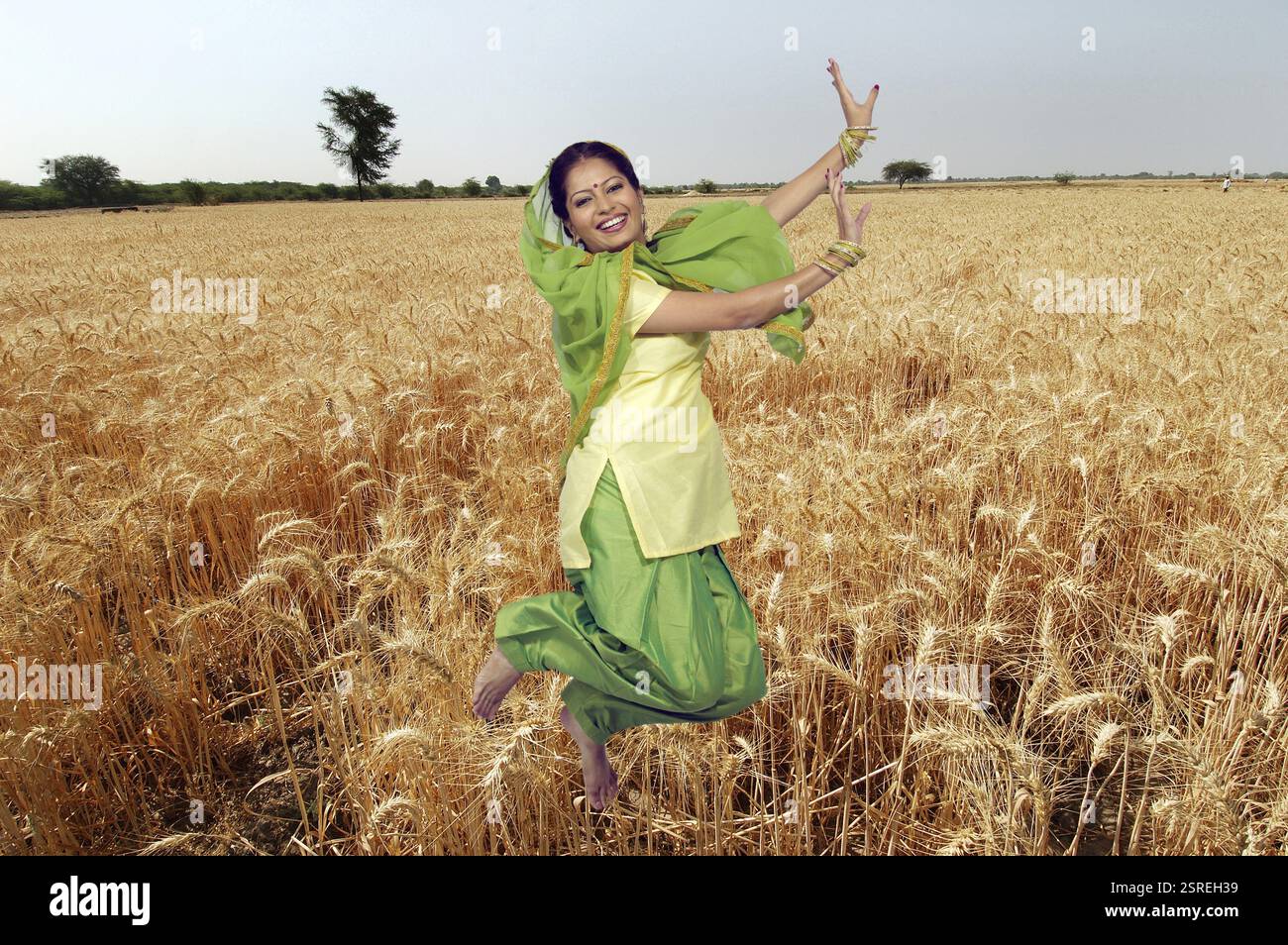 Sikh woman performing folk dance bhangra in wheat field MR#702Z Stock ...