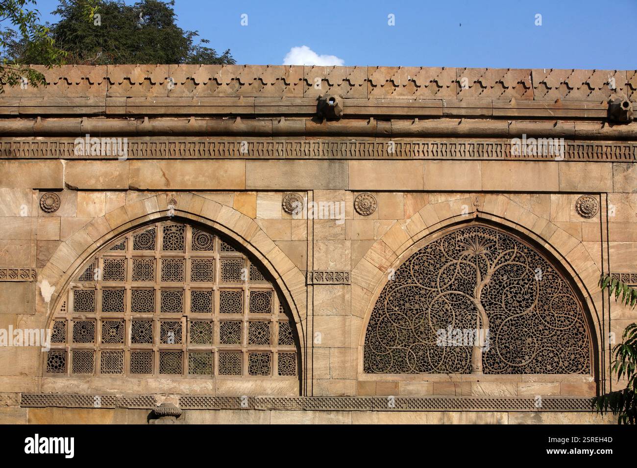 Jali work depicting palm trees with carved tendrils on windows of Sidi ...