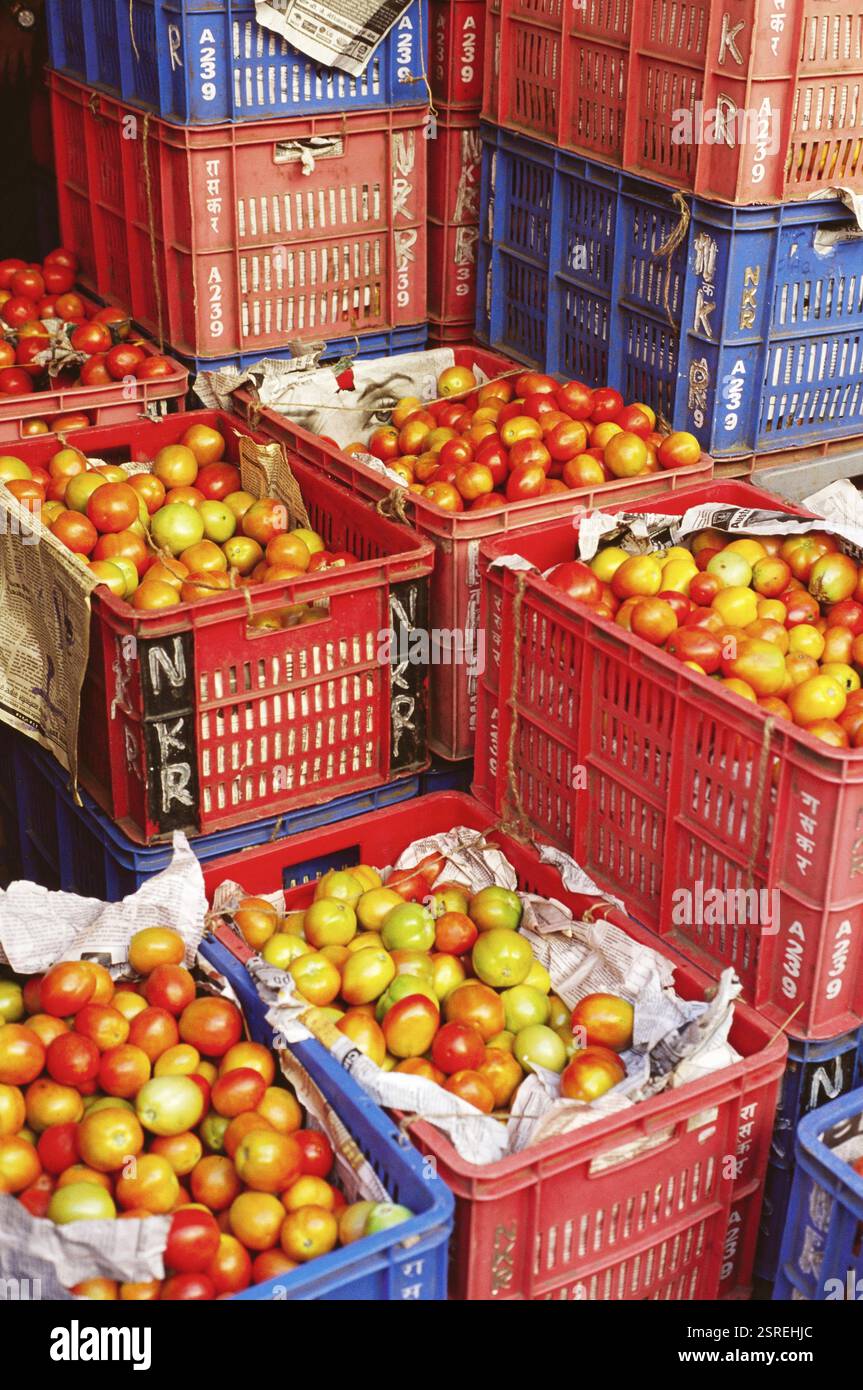 Vegetable, tomatoes in crates in wholesale market, Bombay Mumbai ...
