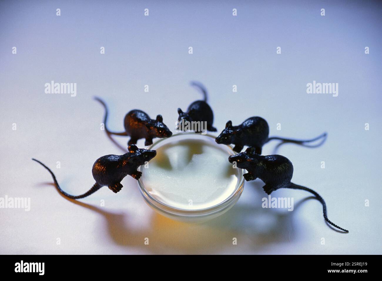 Concept, attack mouse and milk Stock Photo - Alamy