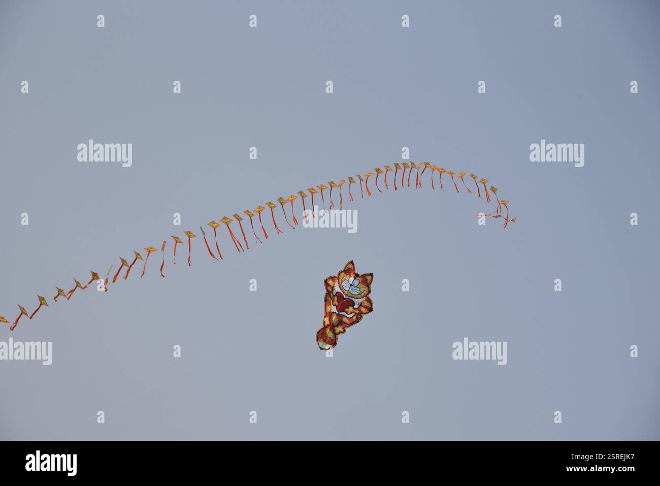 Kite like cat, International Kite Festival, Tithal, Valsad, Gujarat ...