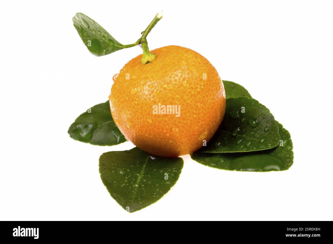 Mandarin buttons hi-res stock photography and images - Alamy