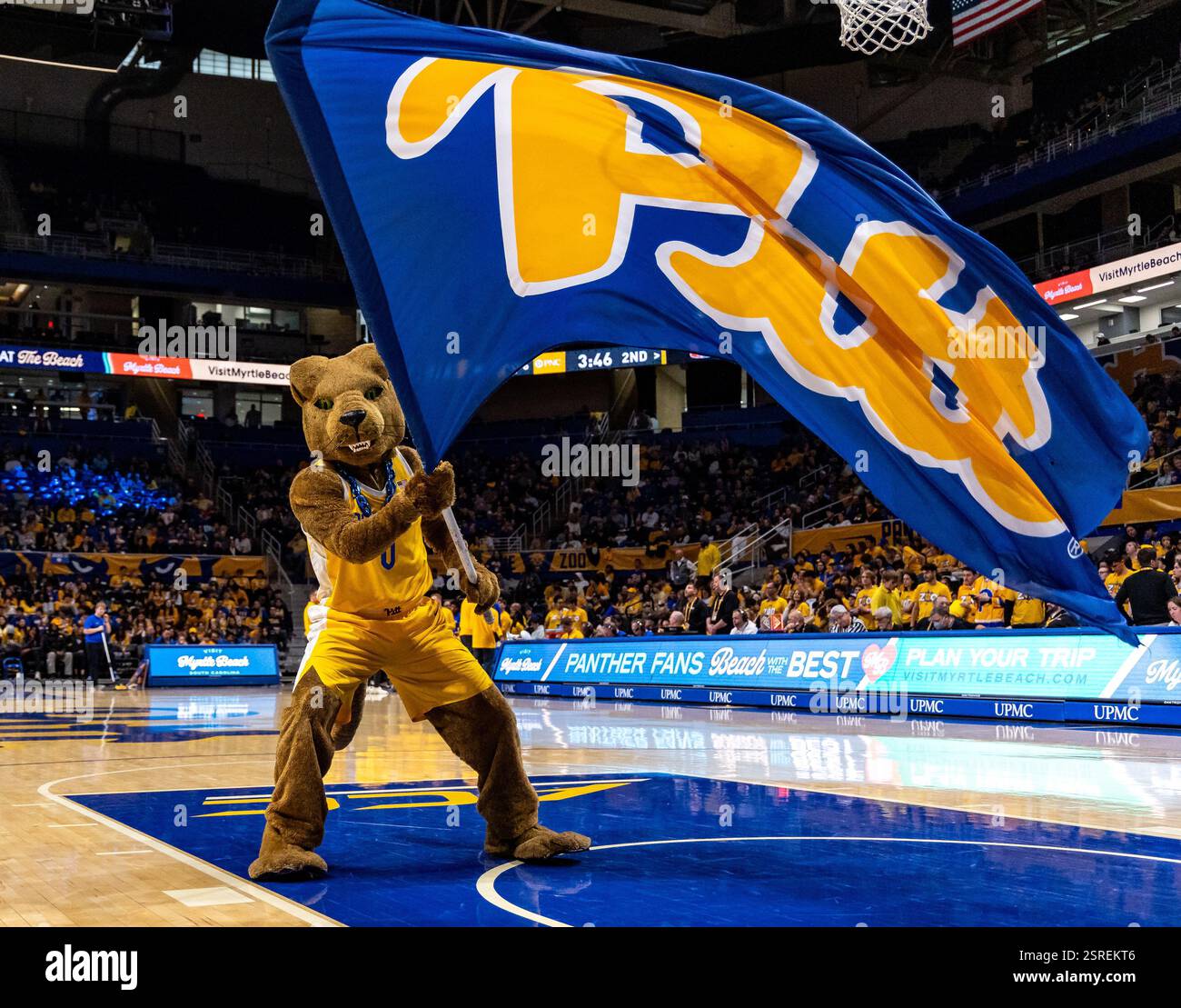 February 15, 2025: Pitt Panthers mascot Roc waves the Pitt flag during ...