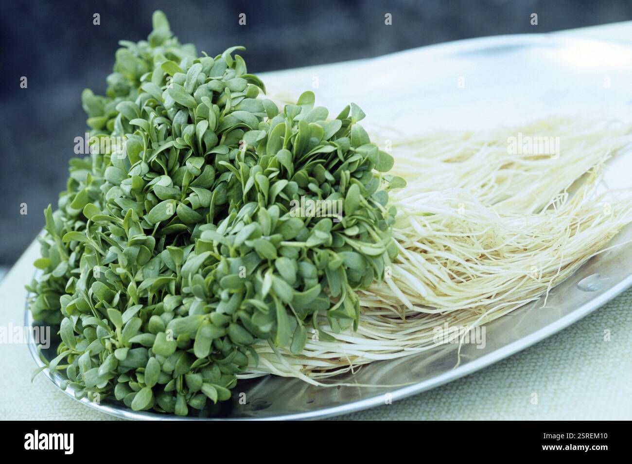Vegetable, fenugreek methi trigonella foenum graecum Stock Photo - Alamy