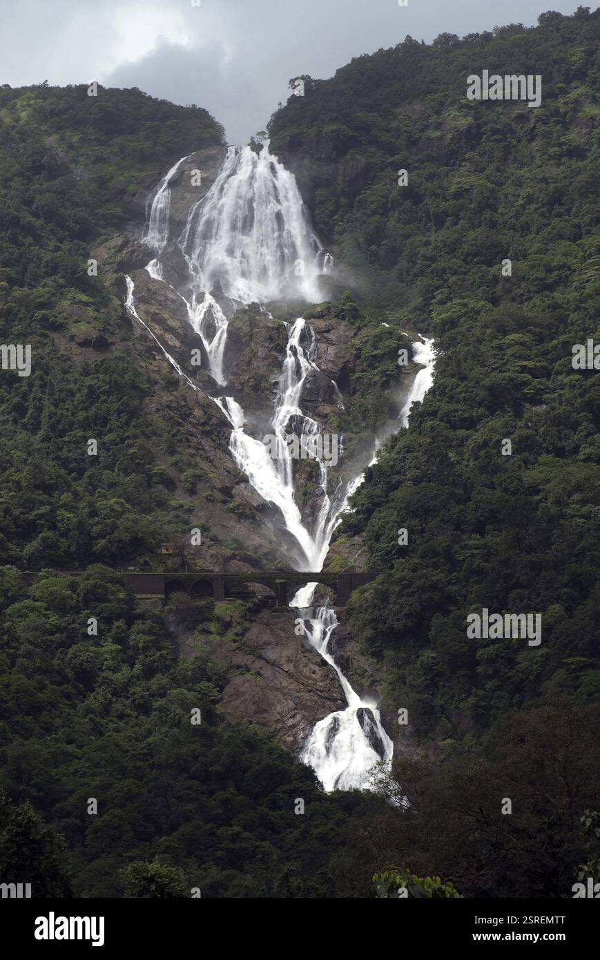 Dudhsagar waterfalls in goa at maharashtra India Asia Stock Photo - Alamy