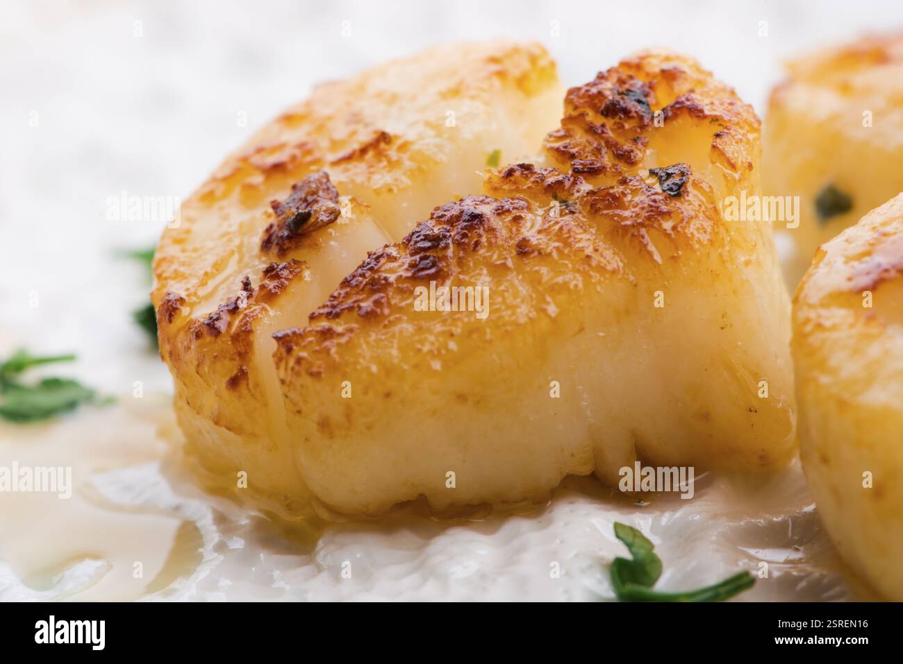 Close up of pan seared sea scallops Stock Photo - Alamy
