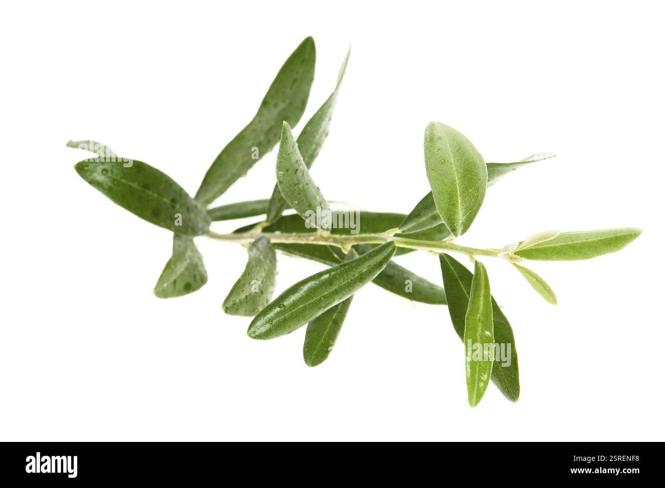 Hillside slope Cut Out Stock Images & Pictures - Alamy