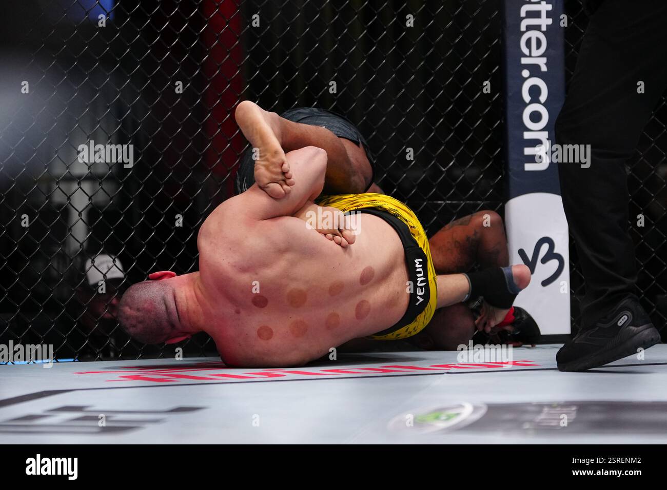 Las Vegas, Nv, United States. 15th Feb, 2025. LAS VEGAS, NV - FEBRUARY ...