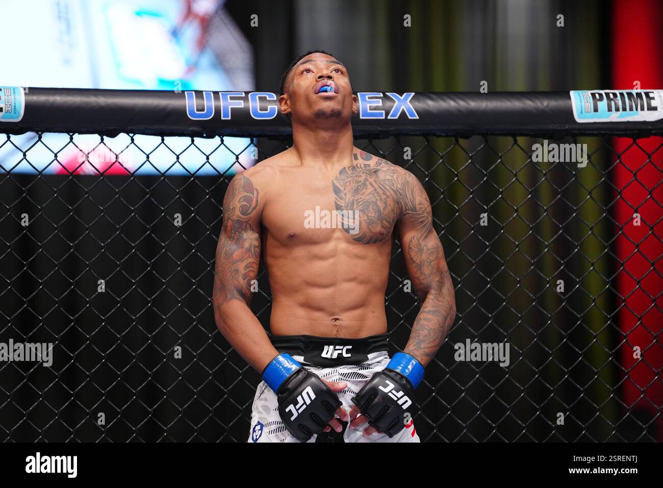 Las Vegas, Nv, United States. 15th Feb, 2025. LAS VEGAS, NV - FEBRUARY ...