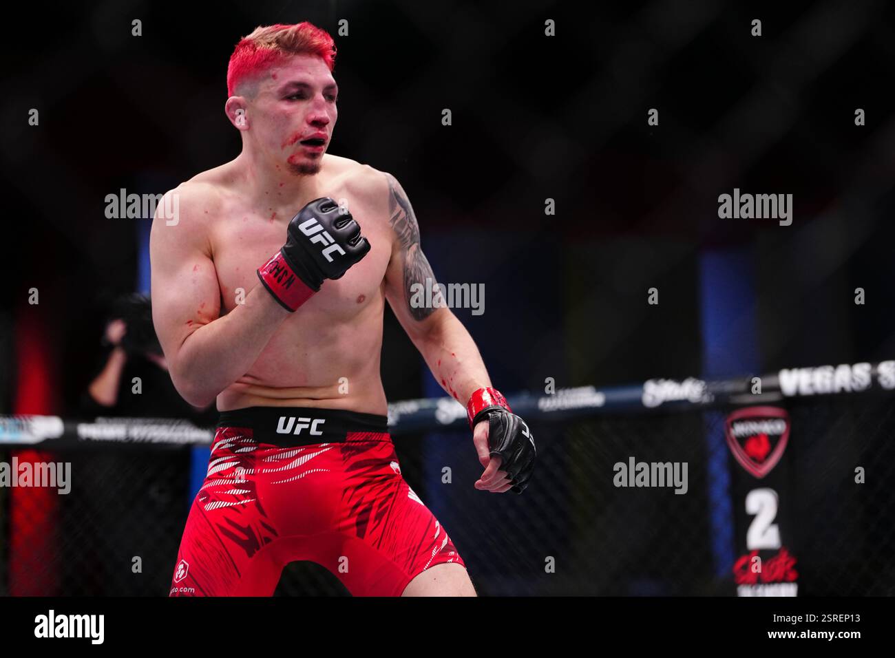 Las Vegas, Nv, United States. 15th Feb, 2025. LAS VEGAS, NV - FEBRUARY ...