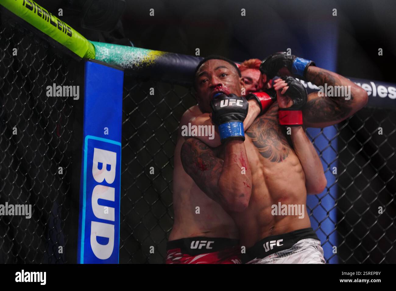 Las Vegas, Nv, United States. 15th Feb, 2025. LAS VEGAS, NV - FEBRUARY ...