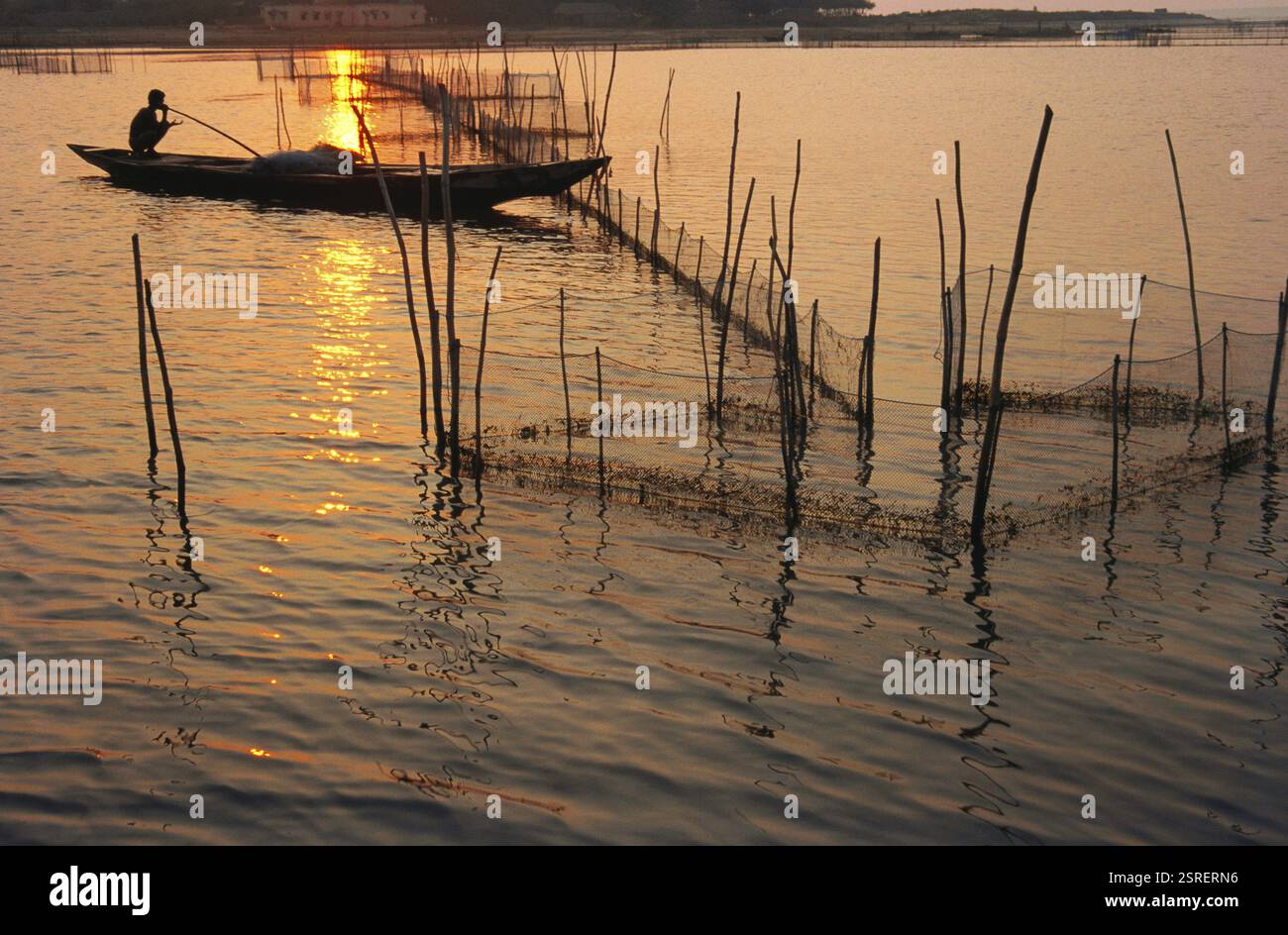 Prawn farms in Satpada, Chilika lake, Orissa, India, Asia Stock Photo ...
