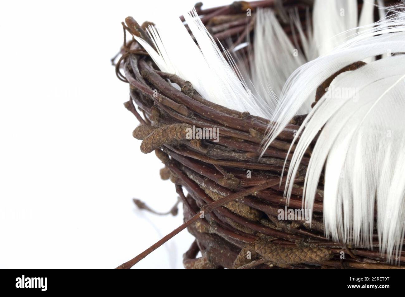 Nest with eggs and feathers Stock Photo - Alamy