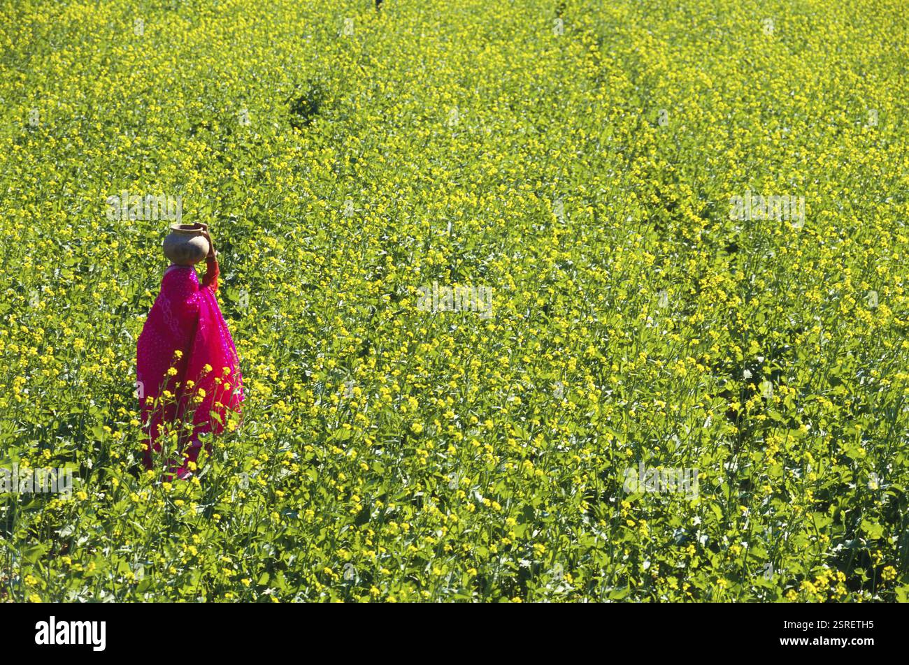 Lady landscape flowers hi-res stock photography and images - Alamy