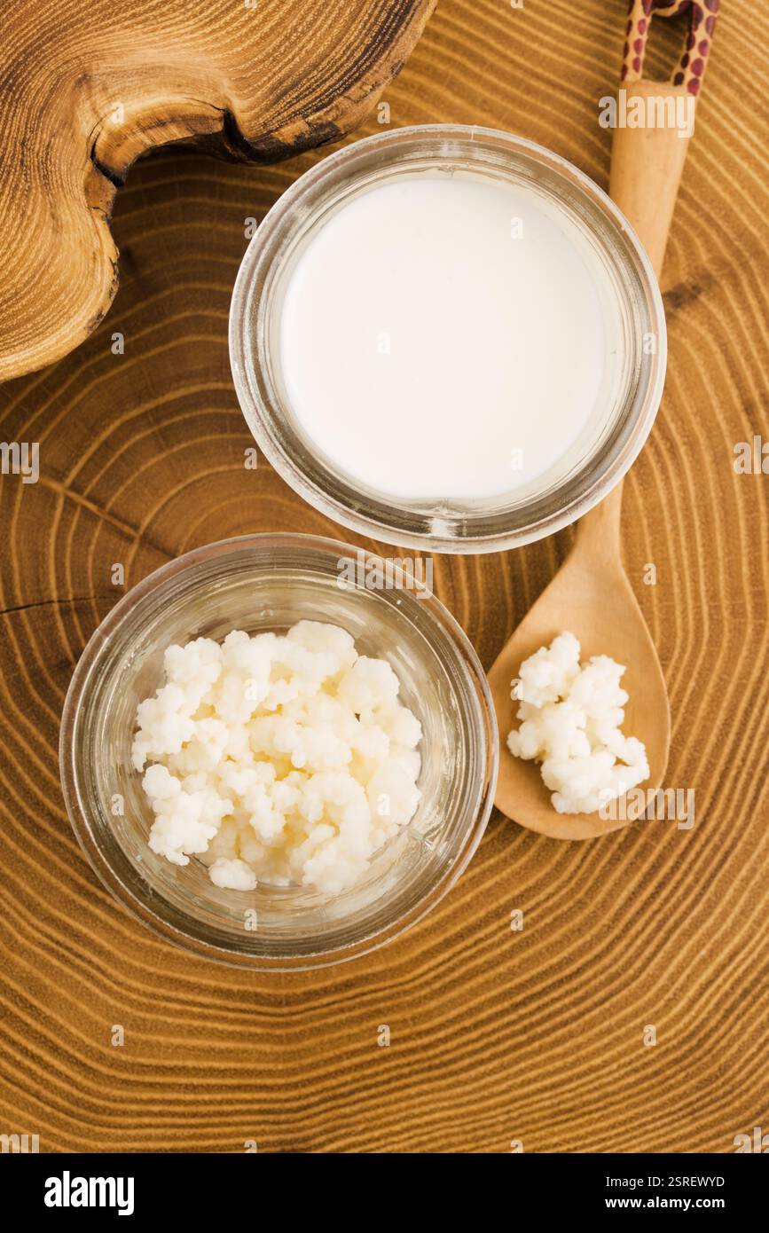 Organic probiotic milk kefir grains Stock Photo - Alamy