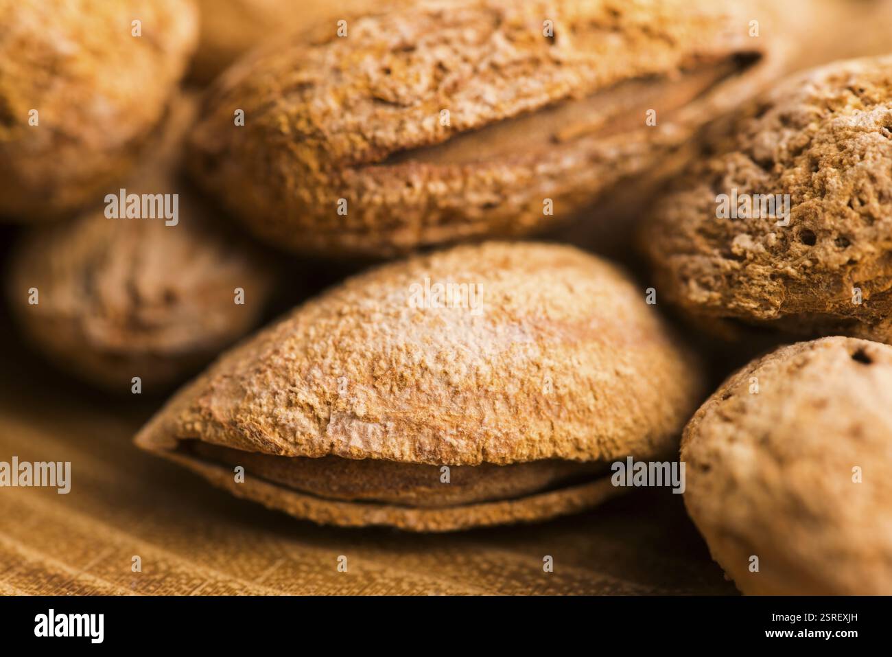 Shell isolated white mussels hi-res stock photography and images - Alamy