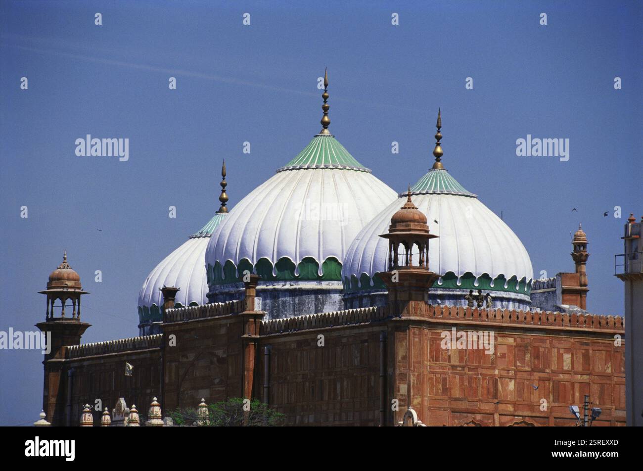 Aurangzeb mosque, Mathura, Uttar Pradesh, India, Asia Stock Photo - Alamy