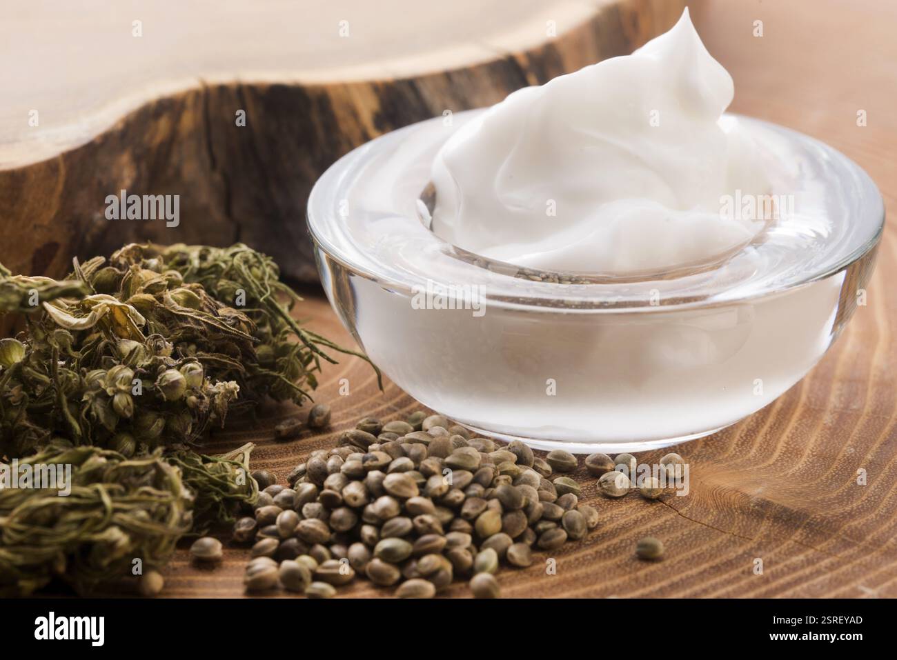 Cannabis oinment natural product. Cosmetic cream from natural hemp ...